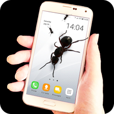 Ants on screen - prank APK for Android - Download