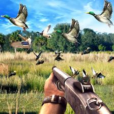 Duck Hunting Challenge APK for Android - Download