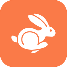 Rabbit VPN for Android - Download
