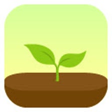 Forest: stay focused, be present for Google Chrome - Extension Download