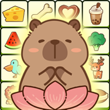 Relieve Stress - Zen Link para Android - Descargar