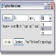 Capture The Screen - Descargar