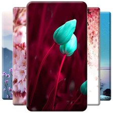 Spring Wallpaper APK para Android - Descargar