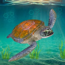 Sea Turtle Survival Sim Games para iPhone - Descargar