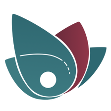 Taif Bus para Android - Descargar