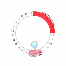 Ovudex. Menstrual cycle ovul para Android - Descargar