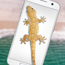 Lizard in phone funny joke APK para Android - Descargar