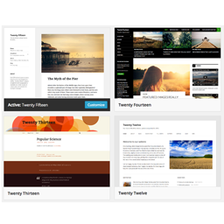Multiple Themes for WordPress - Download