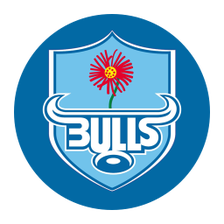 Blue Bulls para Android - Descargar