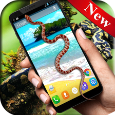 Snake on Screen Joke Scary Crawling APK para Android - Descargar