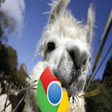 Local LLama LLM AI Chat Query Tool for Google Chrome - Extension Download