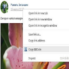 Vk wall to BBCode for Google Chrome - Extension Download