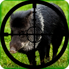 Wild Boar Hunting Calls para Android - Descargar
