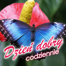 Polish Good Morning Everyday para Android - Descargar