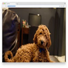 A Doodle A Day para Google Chrome - Extensión Descargar