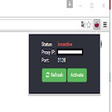 Skin Proxy para Google Chrome - Extensión Descargar