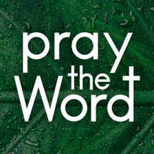 Pray the Word for Android - Download