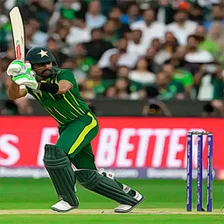 Real World Cricket T20 Games for Android - Download