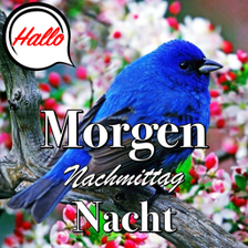 German Good Morning Good Night Wishes Love APK for Android - Download