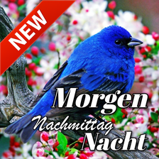 German Good Morning Good Night Wishes Love APK für Android - Download