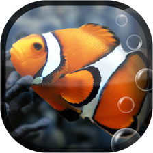 Fish Aquarium Live Wallpaper APK para Android - Descargar