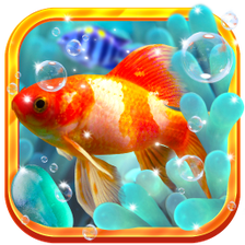 Aquarium Animated Keyboard Live Wallpaper para Android - Descargar