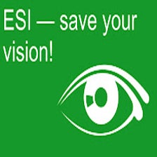 ESI Stylish para Google Chrome - Extensión Descargar