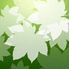 Vancouver Trees pour iPhone - Télécharger