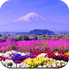 Beautiful Spring Wallpaper 4K APK for Android - Download