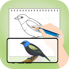 AR Draw Sketch: Trace Sketch para Android - Descargar