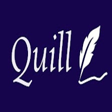 Quill - AI Search on any Website para Google Chrome - Extensión Descargar