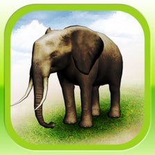 REAL ANIMALS HD for iPhone - Download