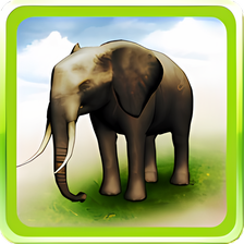 Android için REAL ANIMALS HD APK - İndir