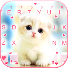 Cute White Kitten Keyboard Bac for Android - Download