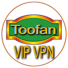 TOOFAN VIP VPN for Android - Download