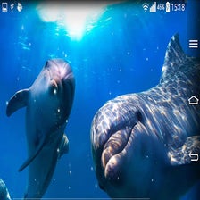 Dolphin Wallpaper HD Custom New Tab para Google Chrome - Extensión ...