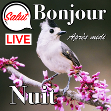 French Good Morning Afternoon Good Night Wishes APK per Android - Download