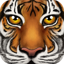 Ultimate Bird Simulator for Android - Download