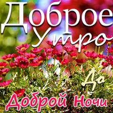 Russian Good Morning Good Night wishes messages APK for Android - Download