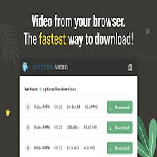 Video Downloader by Detector Video for Google Chrome - Extension Download