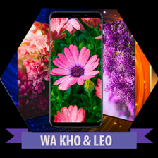 Kubet app Simple Wallpaper für Android - Download