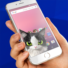 Cat inside phone prank for Android - Download