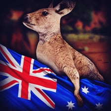 Australia New Zealand Bowhunting Simulator for iPhone - Download