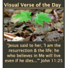 Visual Bible Verse of the Day Widget for WordPress - Download