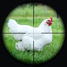 Chicken Shoot Sniper Hunting for Android - Download