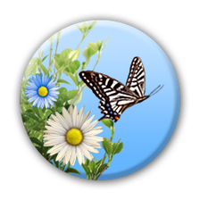 Butterfly APK สำหรับ Android - ดาวน์โหลด