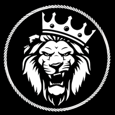 Lion VPN per Android - Download