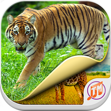 Animals Wallpaper HD APK per Android - Download