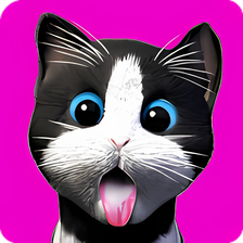 Daily Kitten : virtual cat pet APK per Android - Download
