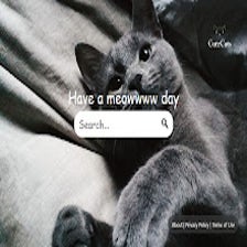 Cute Cats NewTab for Google Chrome - Extension Download